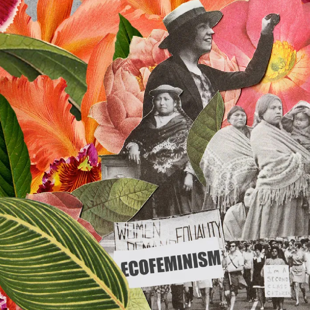 Harmony in Essence: The Symbiosis of Women and Nature in Ecofeminism ...
